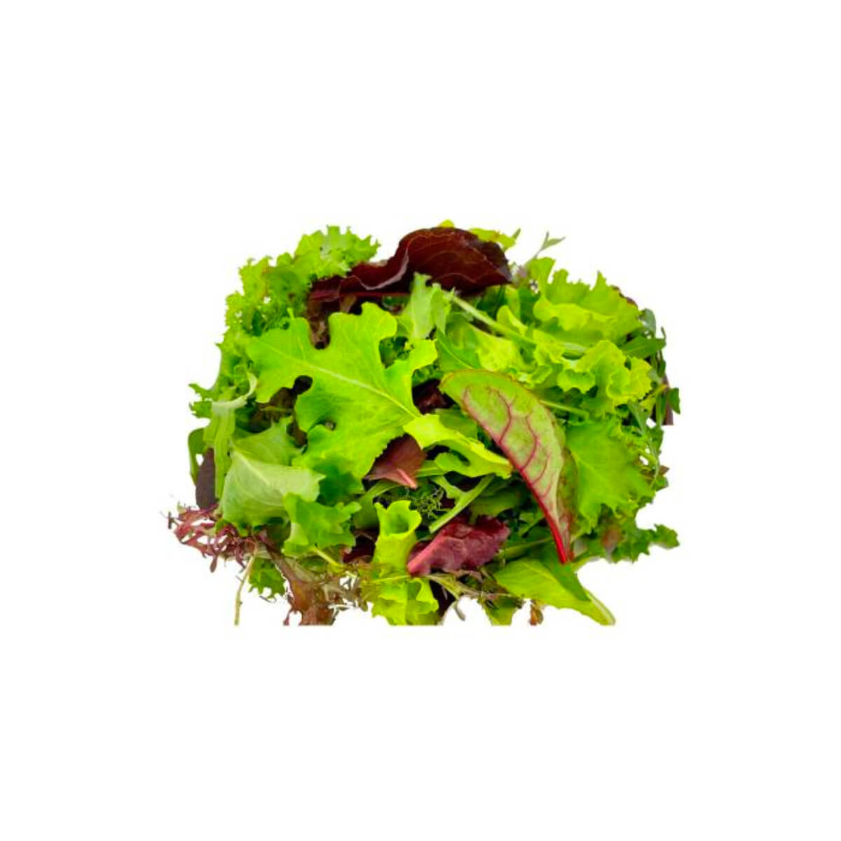 Buy Hygrow Spicy Mix Veg Shop On The Fresh Market UAE