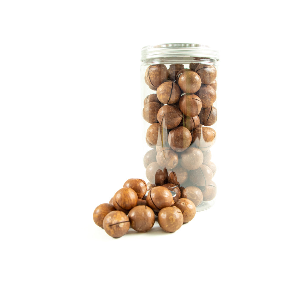 Buy Fresh Macadamia Nuts With Shells Shop On The Fresh Market UAE