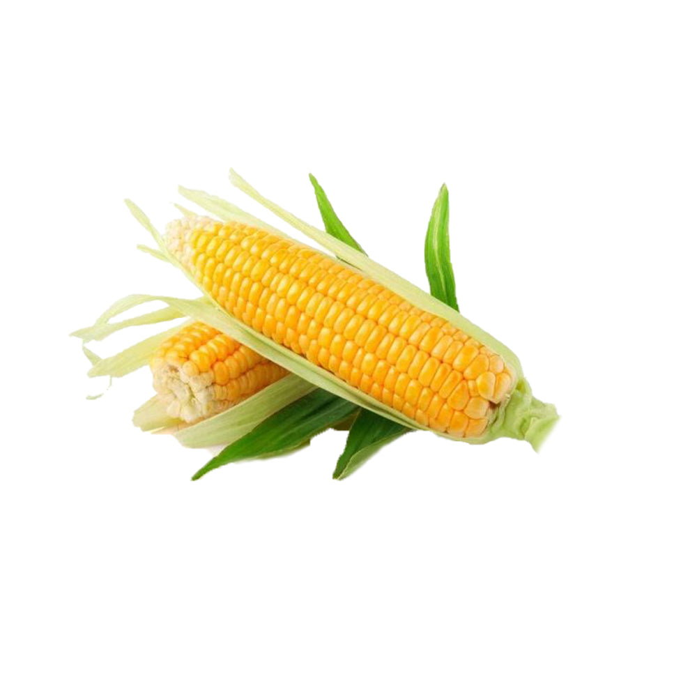 Buy Sweet Corn United Arab Emirates Shop On The Fresh Market UAE